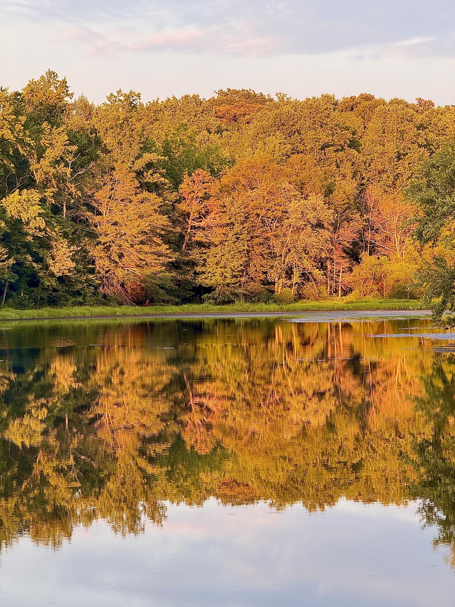 Fall color in Georgia: Best Places to see it - Duke Manor Farm by Laura ...